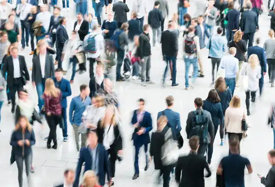 Targeted Leaflet Distribution - Direct Letterbox Marketing